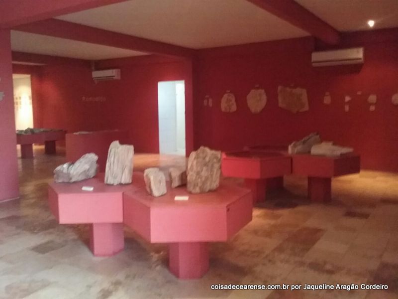 Parque dos Pterossauros – Coisa de Cearense