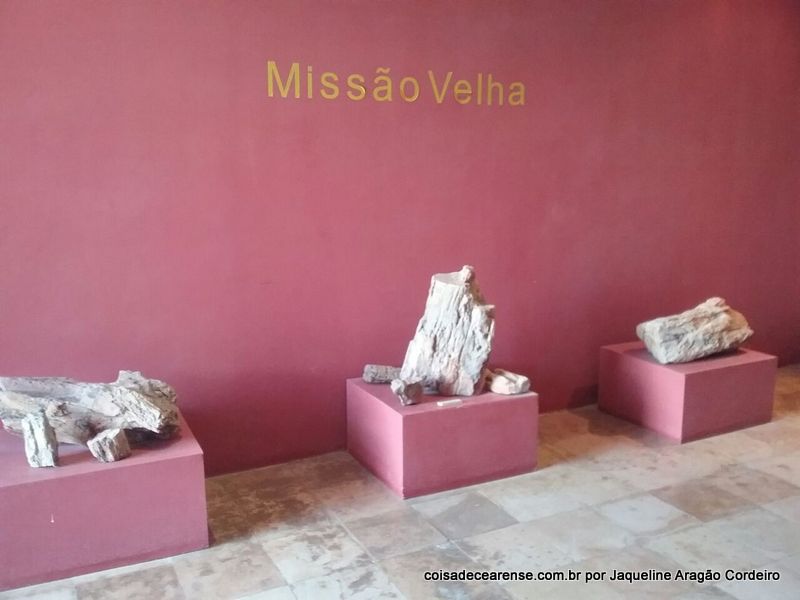 Parque dos Pterossauros – Coisa de Cearense